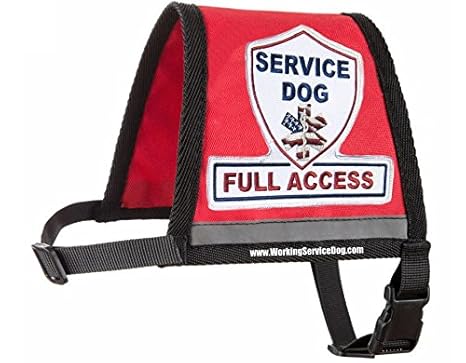 Amazon.com: Complete Service Dog Vest with Exclusive Patch, ID Badge ...