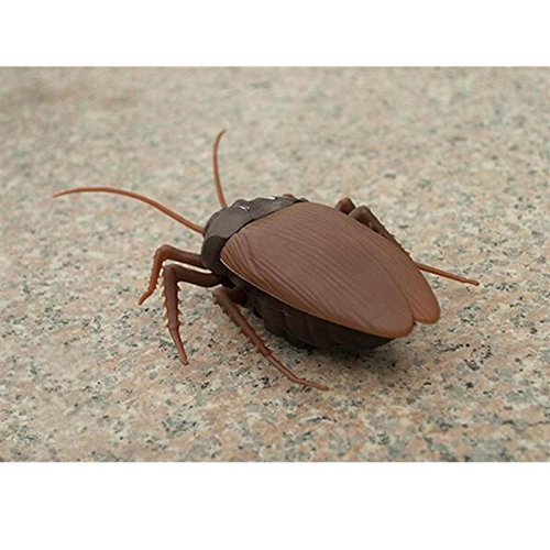 Купить Sandistore Infrared Remote Control Realistic Fake Cockroach RC ...