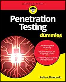 Penetration Testing For Dummies: 9781119577485: Computer Science Books ...