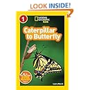 Amazon.com: National Geographic Readers: Caterpillar to Butterfly ...