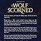 Amazon.com: A Wolf Scorned: A Rejected Mate Shifter Romance (Blood Moon Shifters Book 1 ...
