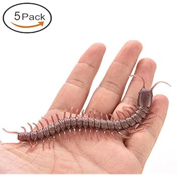 Amazon.com: Vivian Realistic Fake Plastic Centipede Rubber Toy Joke ...