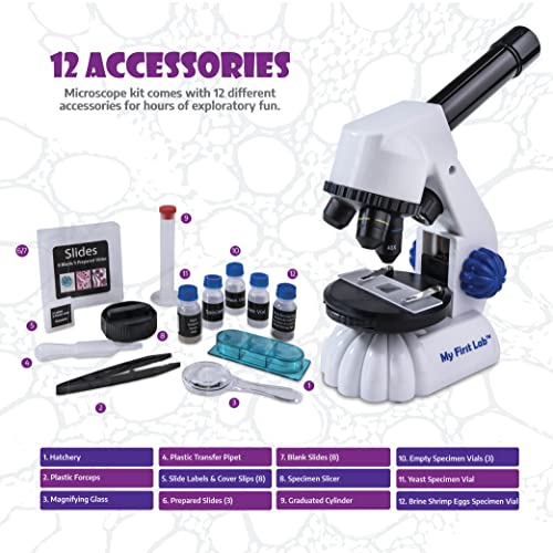 My First Lab’s MFL-20 Mini Microscope for Kids 5-7 - Entry Level STEM ...