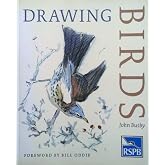 Drawing Birds: Busby, John: 9780881926972: Amazon.com: Books