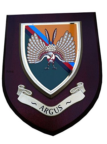 Argus 14th Intelligence Military Wall Plaque: Amazon.co.uk: Sports ...