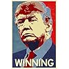 Amazon.com: Donald Trump 2016 Campaign Poster Signs Set of Three ...