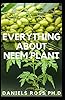 EVERYTHING ABOUT NEEM PLANT: Neem Plant Oil, Healing Properties ...