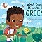 Amazon.com: What Does It Mean to Be Green?: A Picture Book about Making ...