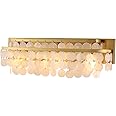 TOCHIC 3 Lights Vanity Light with Natural Capiz Shell Shade, Brushed ...