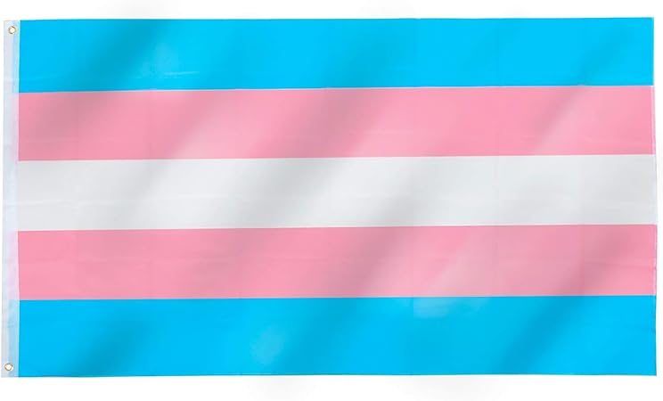 TRIXES Transgender Flag - Large Size for Indoors and Outdoors ...