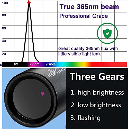 UV Flashlight Black Light USB Rechargeable 365 nm LED Ultraviolet ...