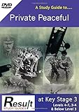 A Study Guide to Private Peaceful at Key Stage 3: Levels 4-7: Amazon.co ...