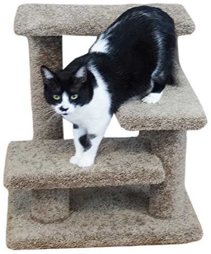 Cat Stairs & Ramps