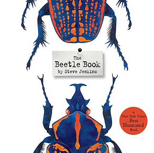 The Beetle Book: Jenkins, Steve, Jenkins, Steve: 9780547680842: Amazon ...