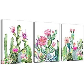 Amazon.com: Canvas Wall Art Prints Watercolor Ball Cactus Cacti Green ...