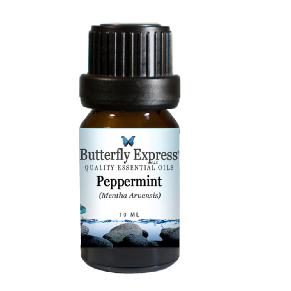 Amazon.com : Butterfly Express Pure Essential Oils-Lavender 10ml ...