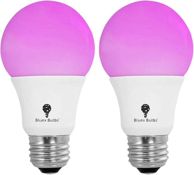 Bluex Bulbs for All Your Lighting Needs - BLUEX BULBS