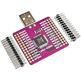 Amazon | FTDI Chip FT2232H評価モジュール FT2232H MINI MODULE | 基板 | 産業・研究開発用品 通販