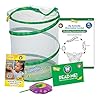Insect Lore - Butterfly Growing Kit - Butterfly Habitat Kit with ...