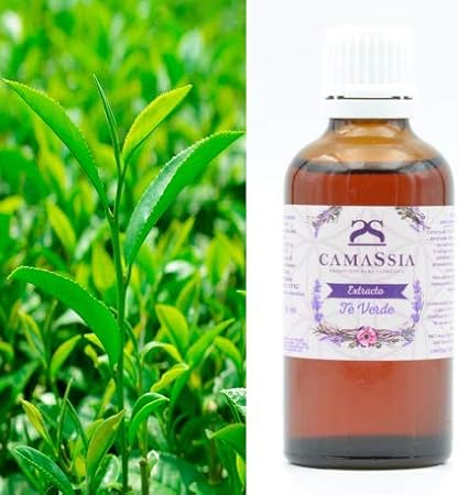 Extracto de té verde - 50ml - 50ml: Amazon.es: Belleza