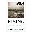 Amazon.com: Rising: Dispatches from the New American Shore ...