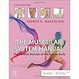 The Muscular System Manual: The Skeletal Muscles of the Human Body ...