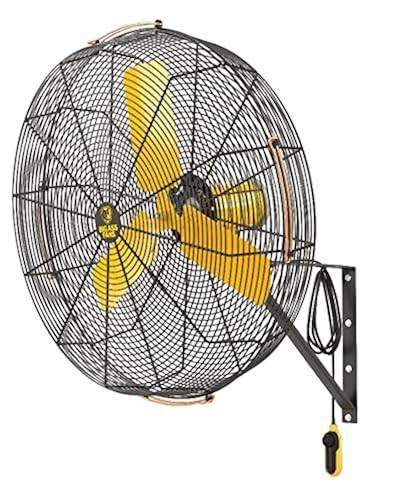 Big Ass Fans AirEye Wall Mount Fan – Powerful & Efficient Cooling for ...