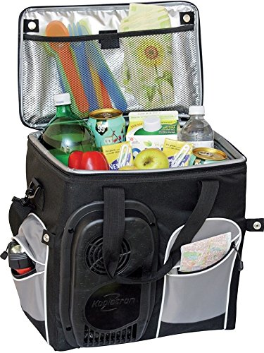Portable Food and Beverage Coolers