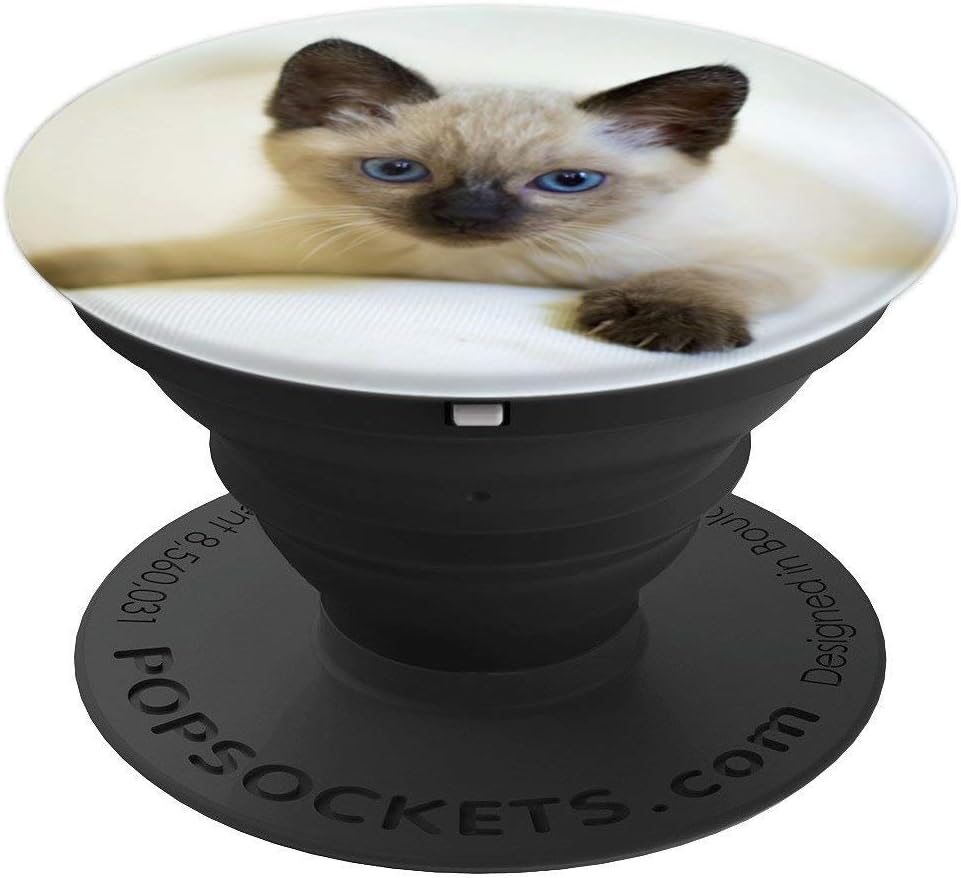 Amazon.com: Siamese Cat Blue Eyes Pop Socket PopSockets Grip and Stand ...