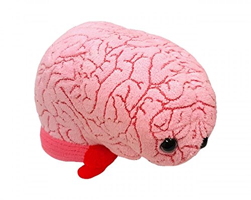 GIANTmicrobes Brain Organ Plush - Adorably Realistic Plush Brain Organ ...