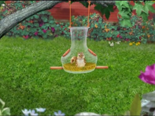 Amazon.com: Wonder Pets Season 2: Amazon Digital Services LLC