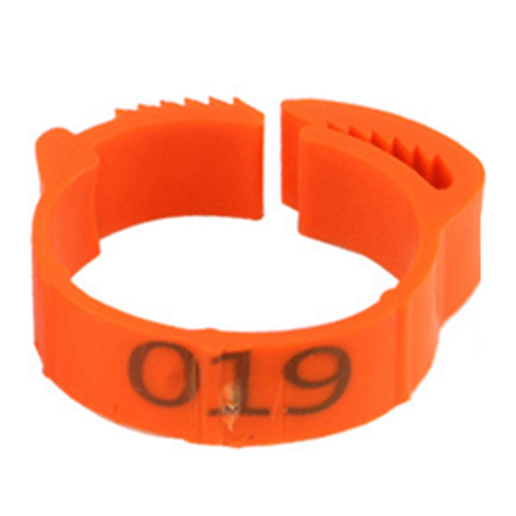 Buy Outgeek 100PCS Chicken Feet Ring Adjustable Universal Chicken Leg ...