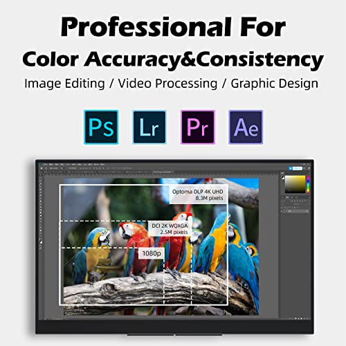 OLED Portable Monitor 4k Touchscreen 15.6 Inch USB-C UHD 3840x2160 ...