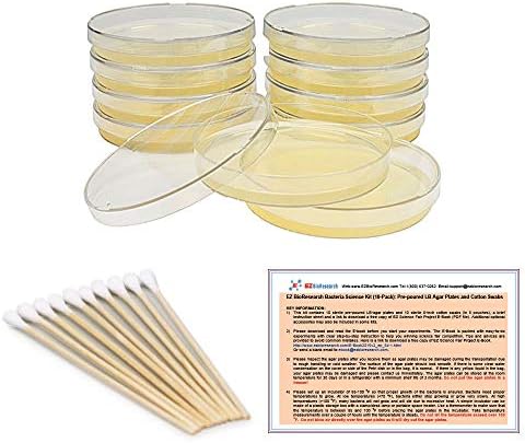 سعر EZ BioResearch Bacteria Science Kit (IV): Top Science Fair Project ...