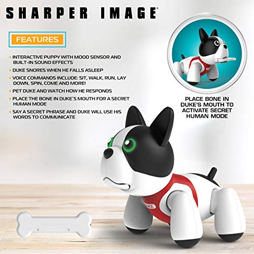 Sharper image robotosaur trainable toy - dasertricksMy Site