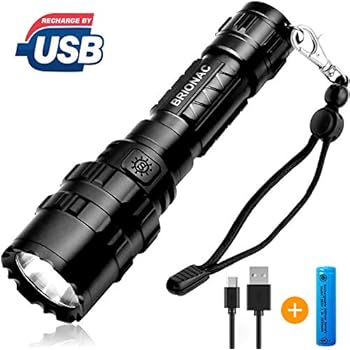 Amazon.com: Craftsman CMXLFB500P Rechargeable 500 Lumen Lithium Ion LED ...
