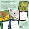 Audubon Birds in the Garden Wall Calendar 2024: Use Native Plants to ...