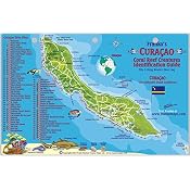 Curacao Dive Map & Reef Creatures Guide Franko Maps Laminated Fish Card ...