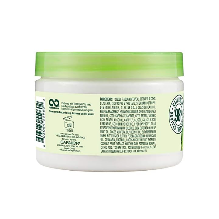 Garnier Fructis Style Curl Treat Defining Smoothie for Fine to Normal ...