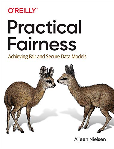 Practical Fairness: Achieving Fair and Secure Data Models: Nielsen ...
