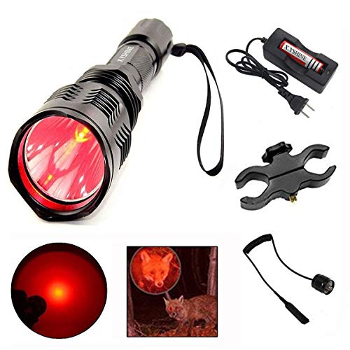 Best Predator Hunting Lights – 2021 Buyer’s Guide