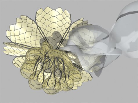 Intricacy: Reiser, Jesse, Gould, Claudia, Lynn, Greg, Chu, Karl, Cohen ...