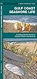 Amazon.com: A Field Guide to the Southeast Coast & Gulf of Mexico ...