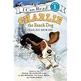 Charlie the Ranch Dog: Charlie's Snow Day (I Can Read Level 1 ...