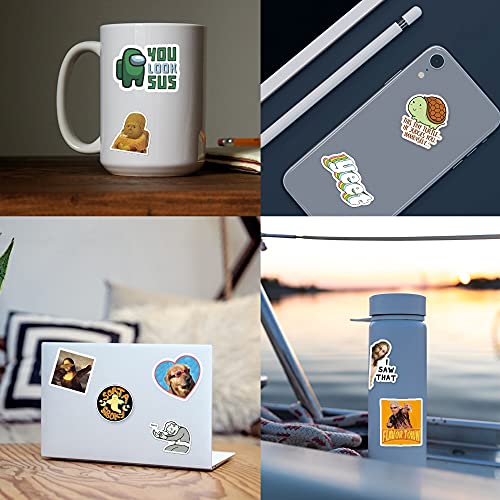 166PCS Funny Meme Vinyl Stickers Pack, Vine Stickers for Laptop, iPhone ...