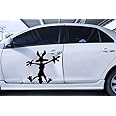 Amazon.com: XL 18" Wile E Coyote Hitting Wall Splat Wiley Vinyl Decal ...