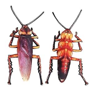 Amazon.com: Creative Cockroach Plush Pillow 3D Animal Insect Stuffed ...