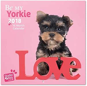 Grupo Erik Editores Calendario 2018 30X30 Studio Pets Yorkie: Amazon.es ...