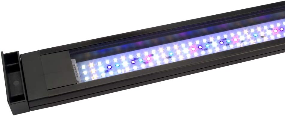 Best 36 Inch Aquarium Light for 30 Gallon Tank | A Little Bit Fishy