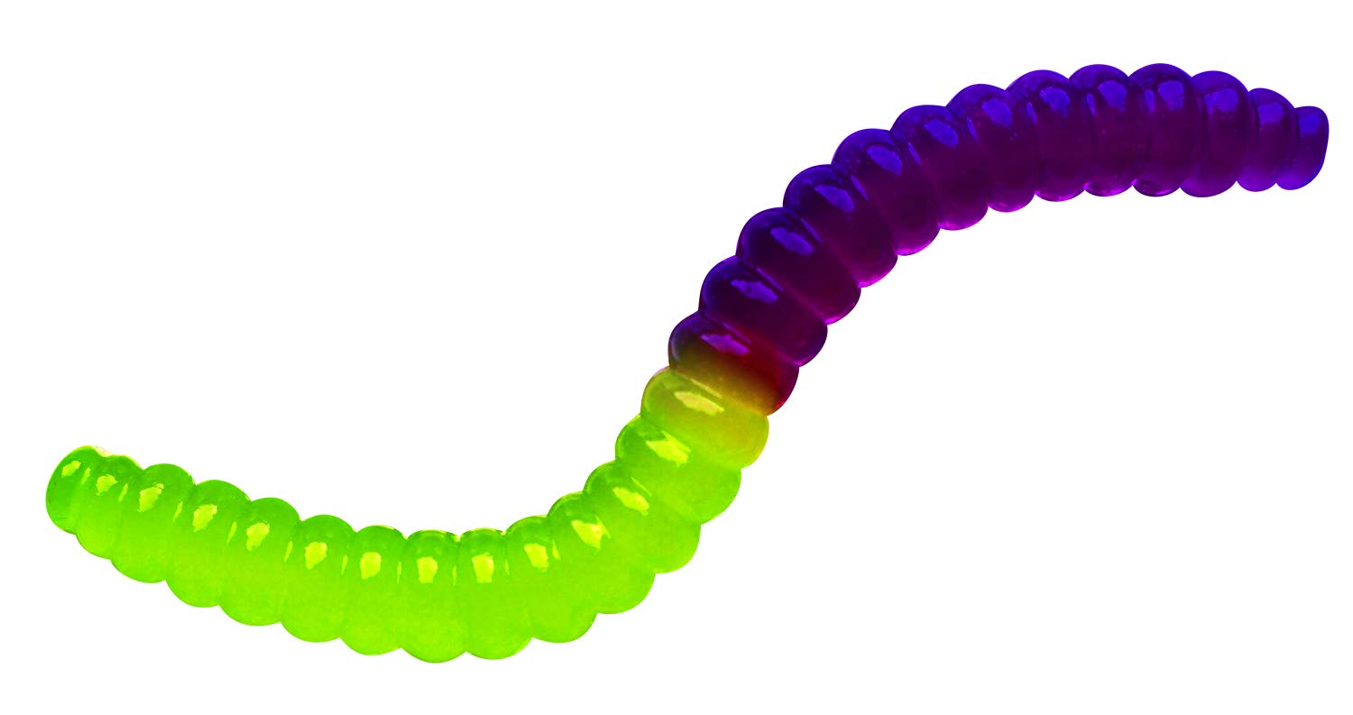 Mua Gross Gummy Candy Lab - Worms & Spiders! Sweet Science STEM ...